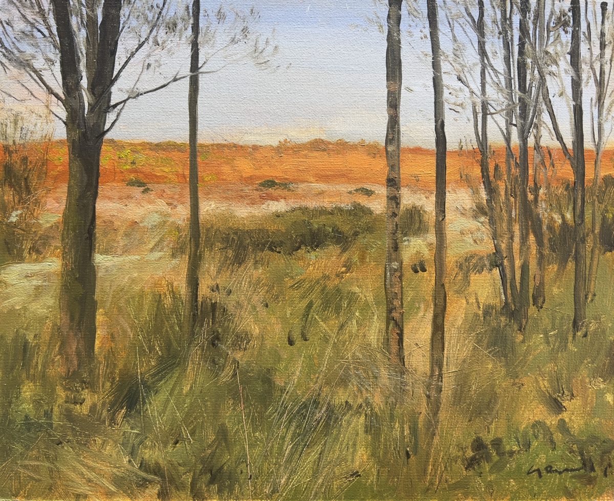 Landscape Study - Gerard M Burns